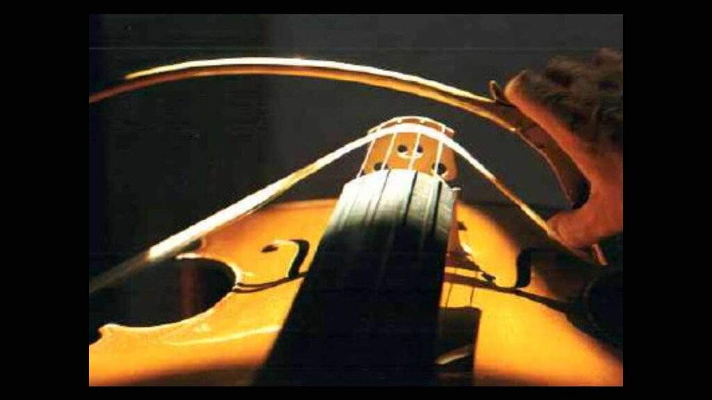 A History of the Violin Bow – Animato Strings Specialists for violin ...